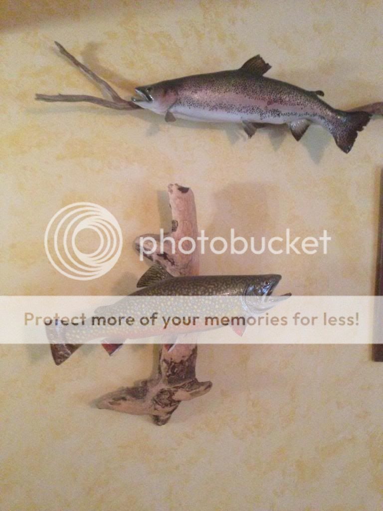 Fresh water fishing on LI - AR15.COM